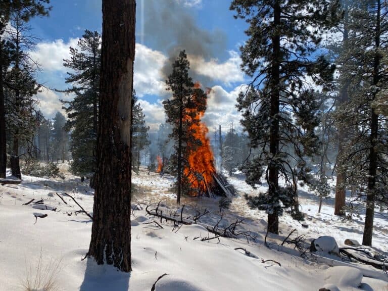 Snow in Arizona: The Top 20 Spots to Enjoy Winter in AZ - Jared's Detours