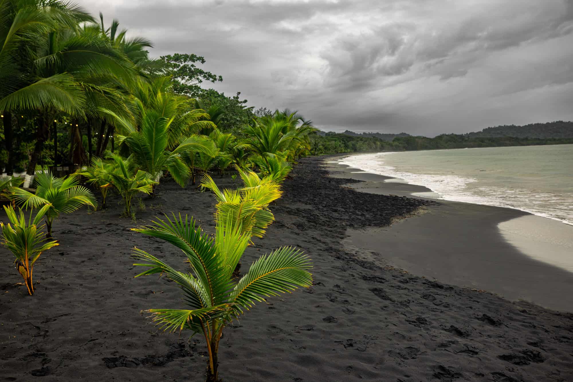 Puerto Viejo Beaches: The Best on Costa Rica's Caribbean Coast - Jared ...