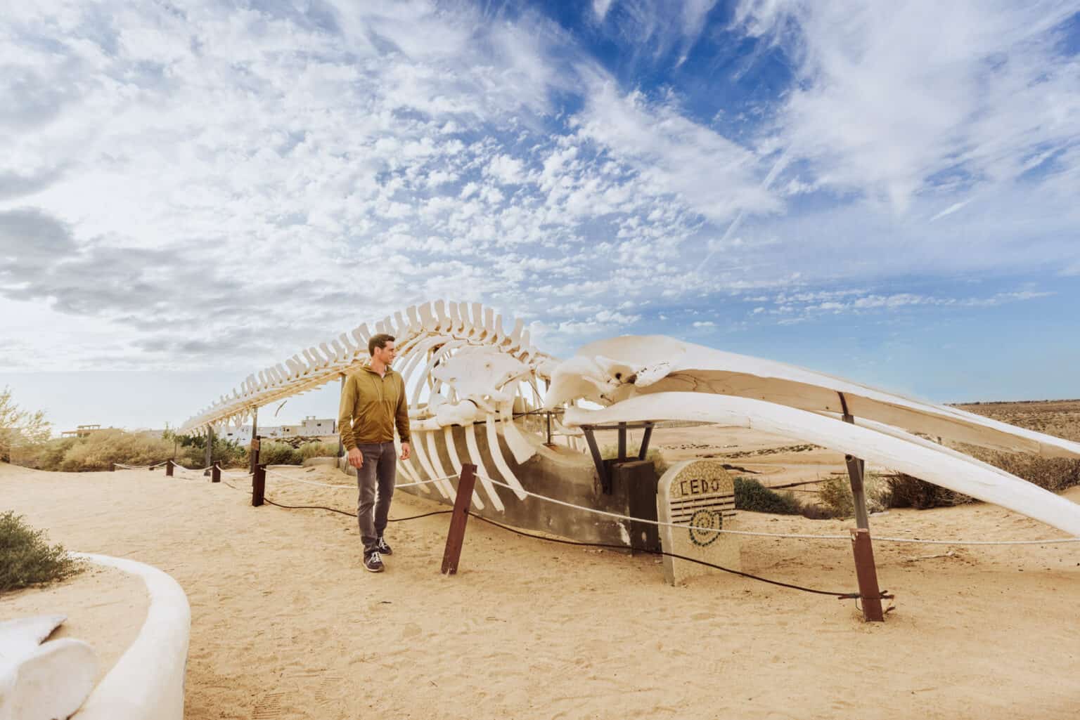 Rocky Point Beaches: A guide to Puerto Peñasco, Mexico - Jared's Detours