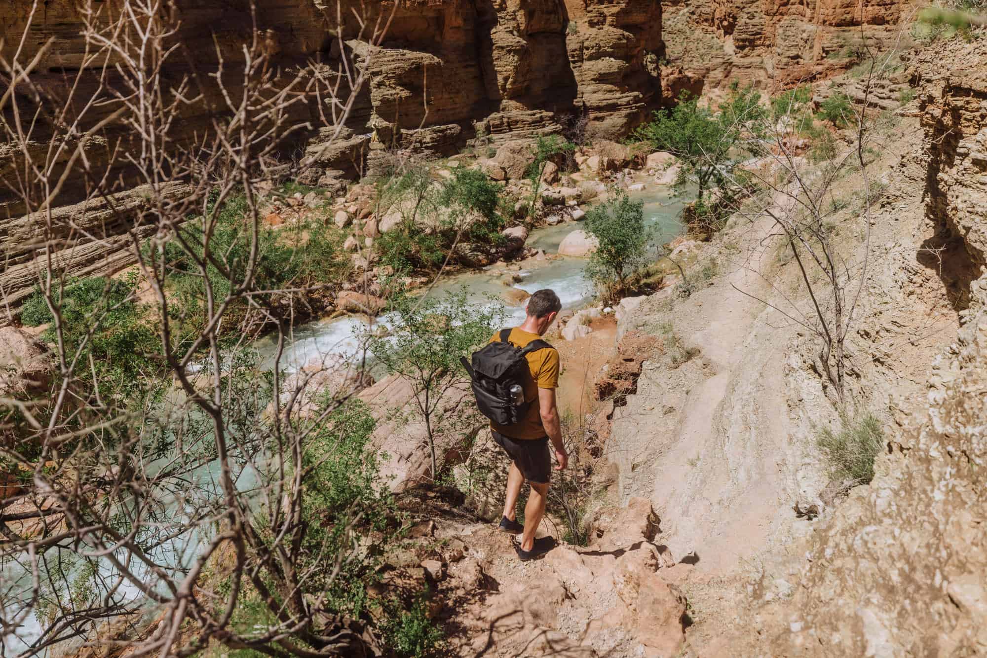 Hike to the Confluence: Havasu Creek Meets the Colorado River
