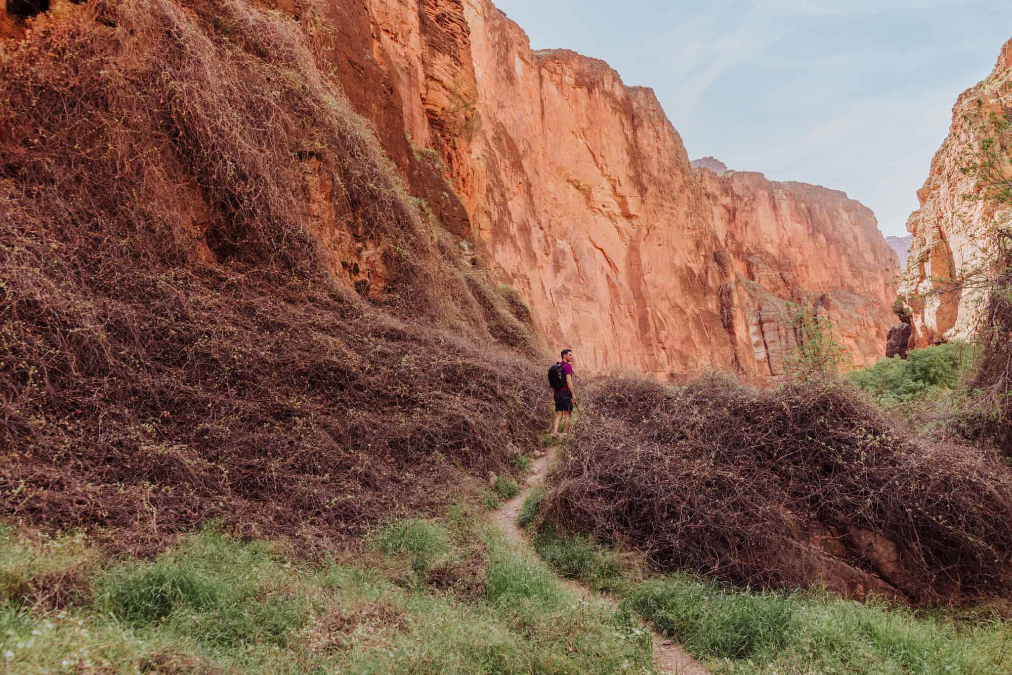 Hike to the Confluence: Havasu Creek Meets the Colorado River