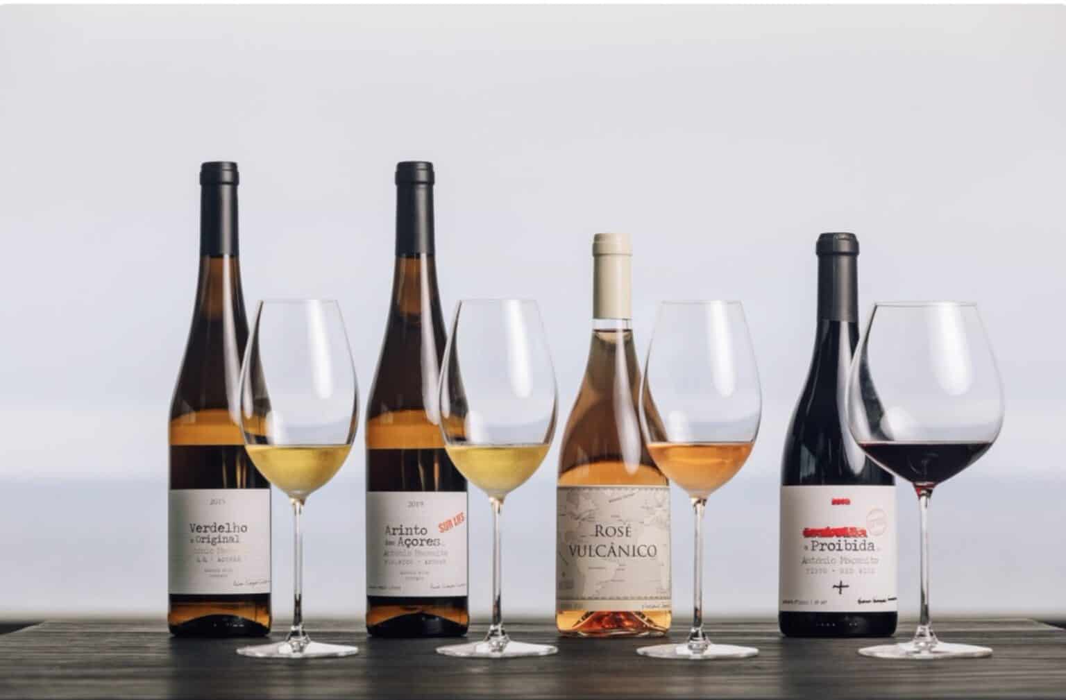 Azores Wine: Vineyards, Wineries, Tastings, and Tours