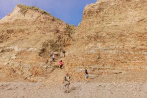 The Alamere Falls Hike: The Best Point Reyes Trail