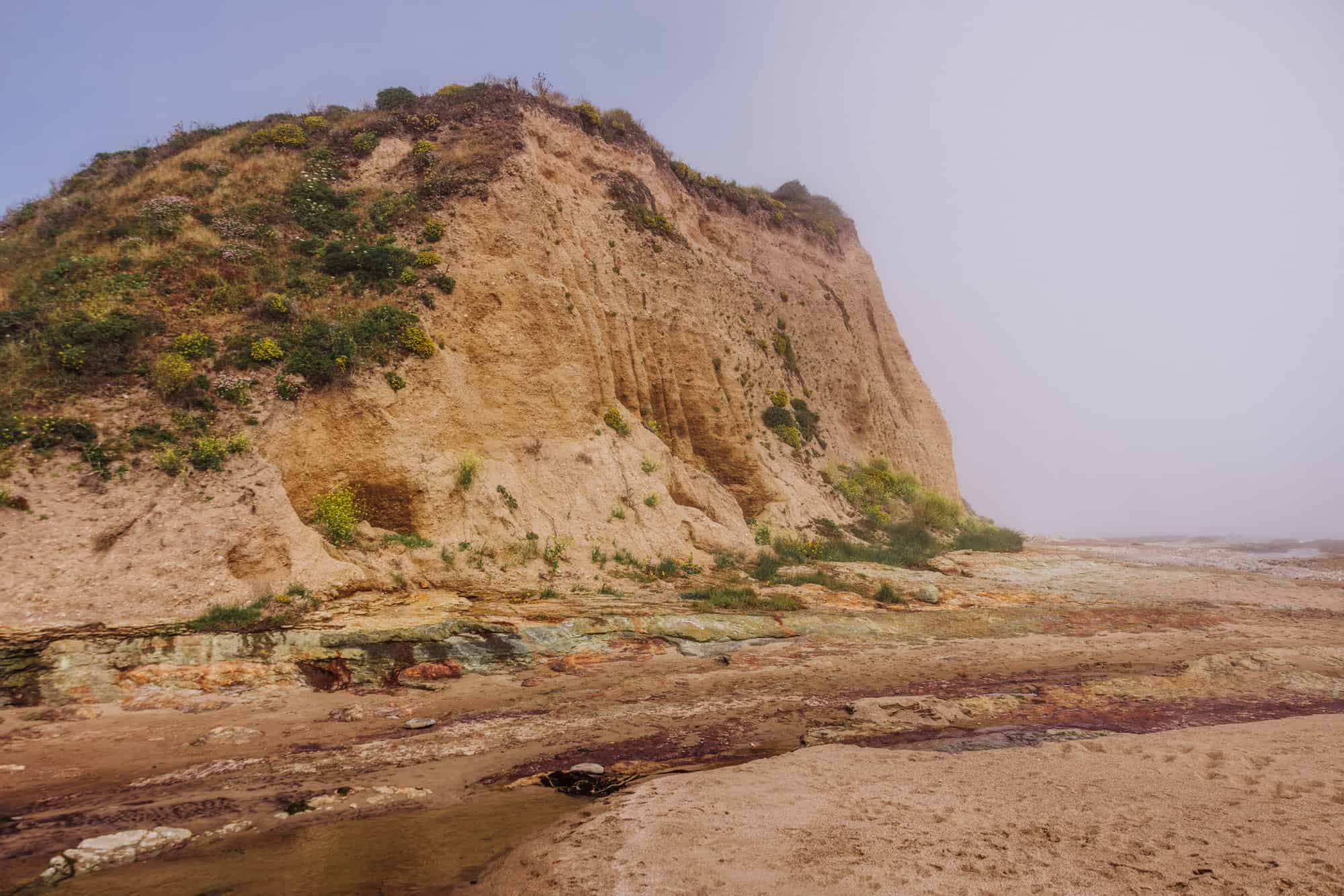 Point Reyes Beaches: The Best in Marin County, CA