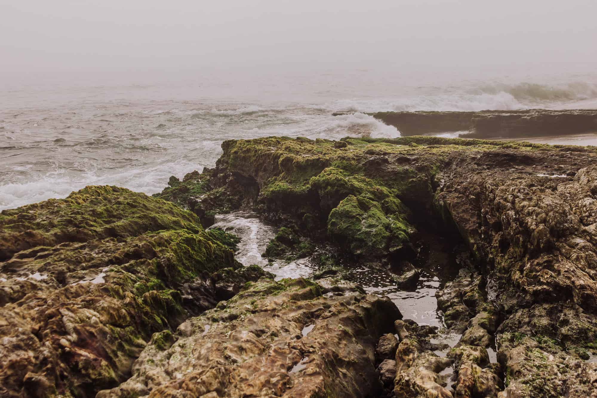 Point Reyes Beaches: The Best in Marin County, CA