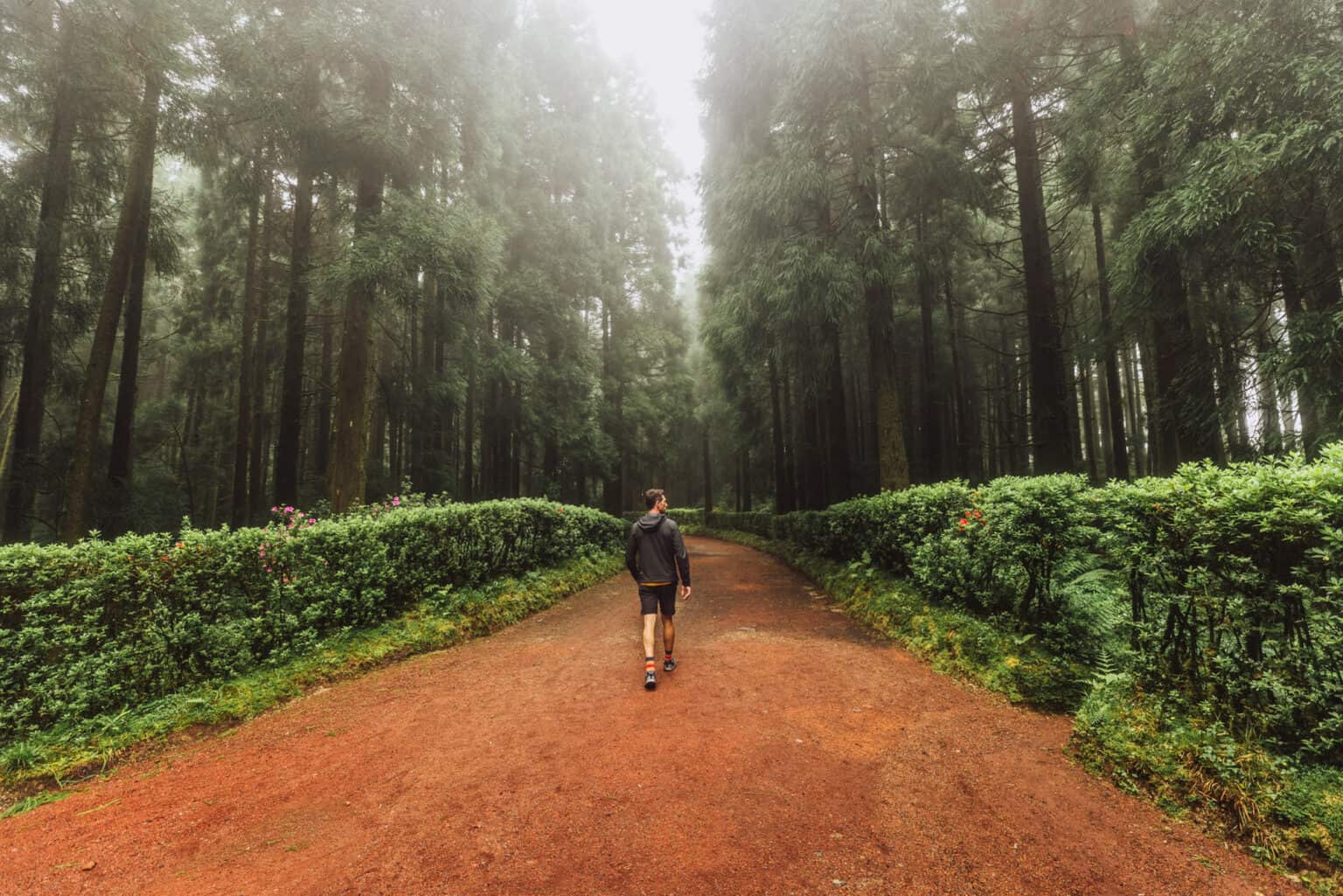 Hiking in the Azores: The Best Trails on Sao Miguel