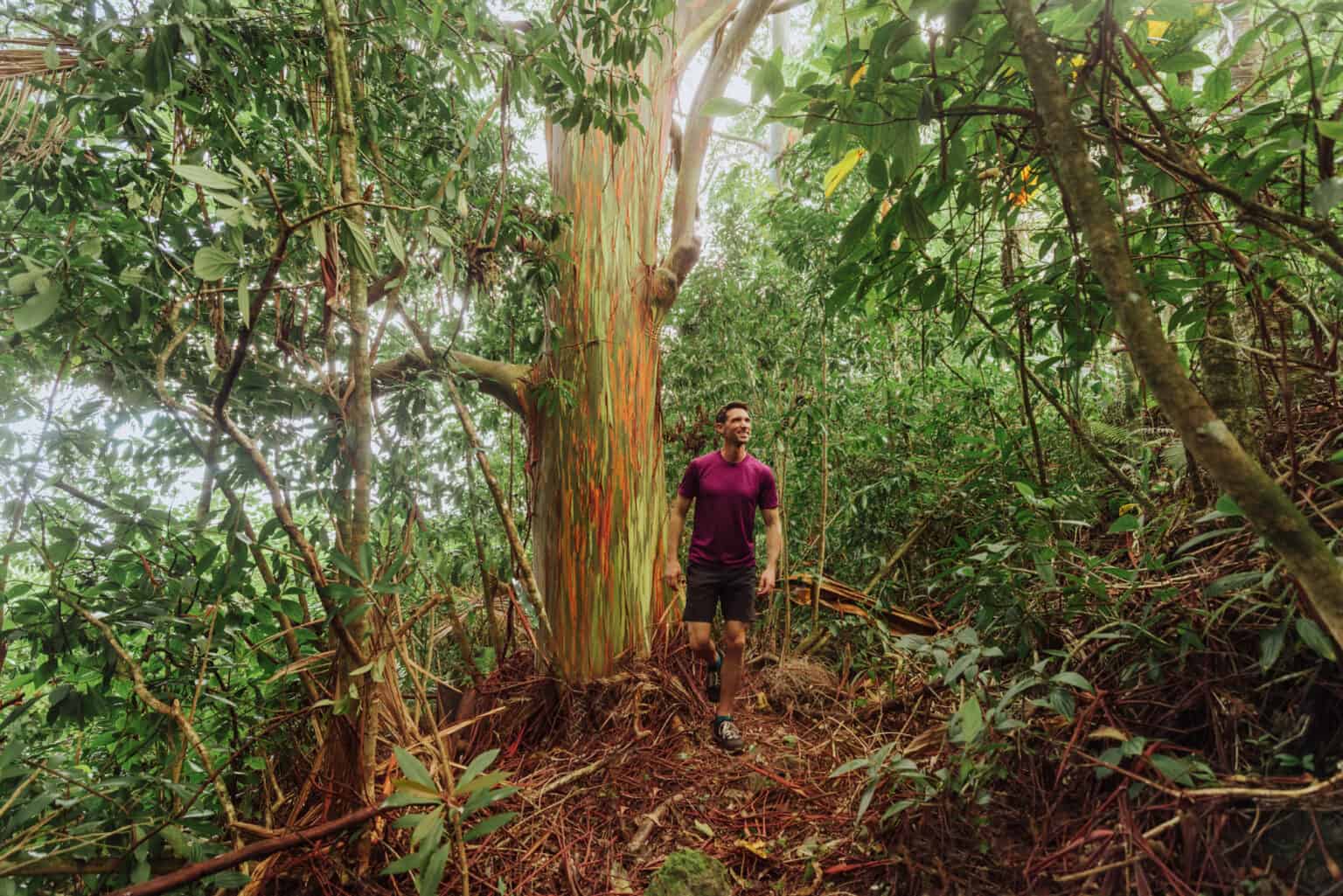 The Road to Hana Waterfalls: The Best on Maui