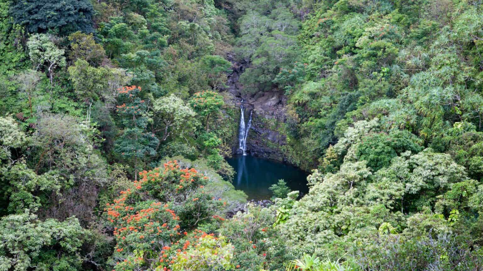 The Road to Hana Waterfalls: The Best on Maui