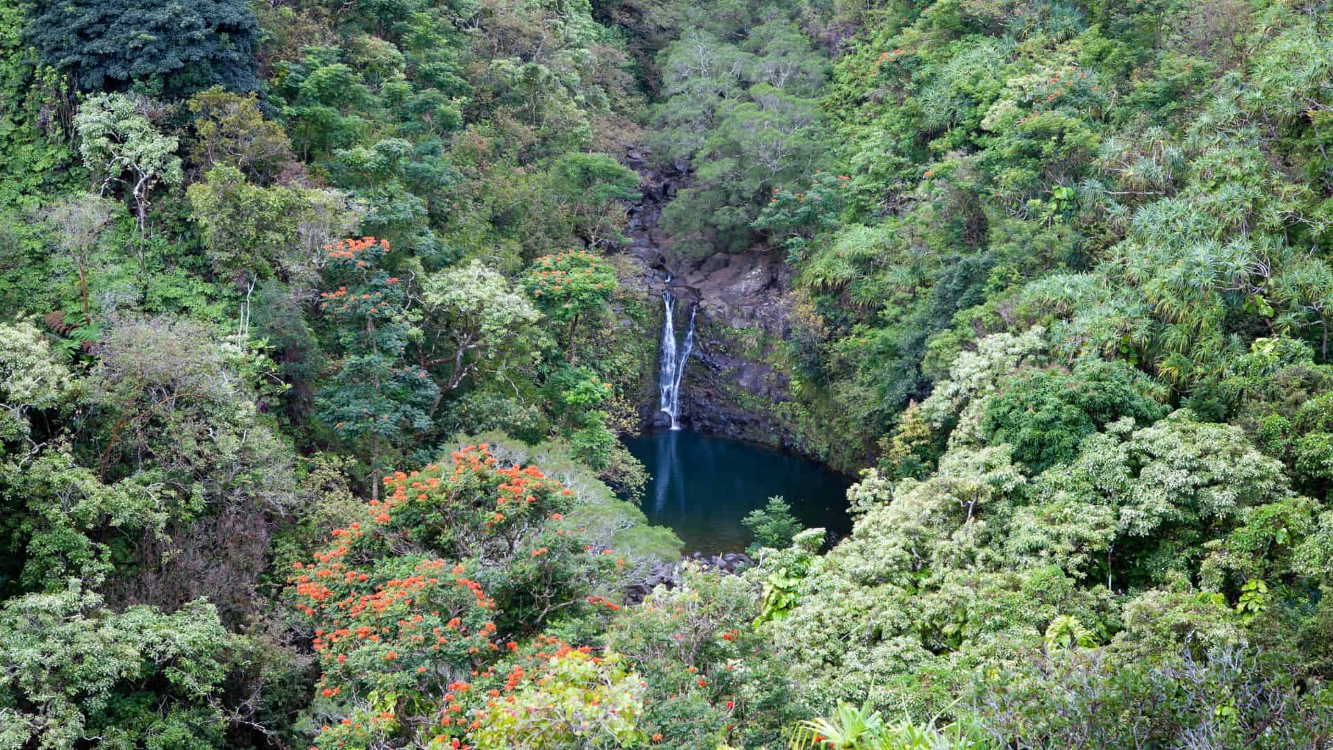 The Road to Hana Waterfalls: The Best on Maui