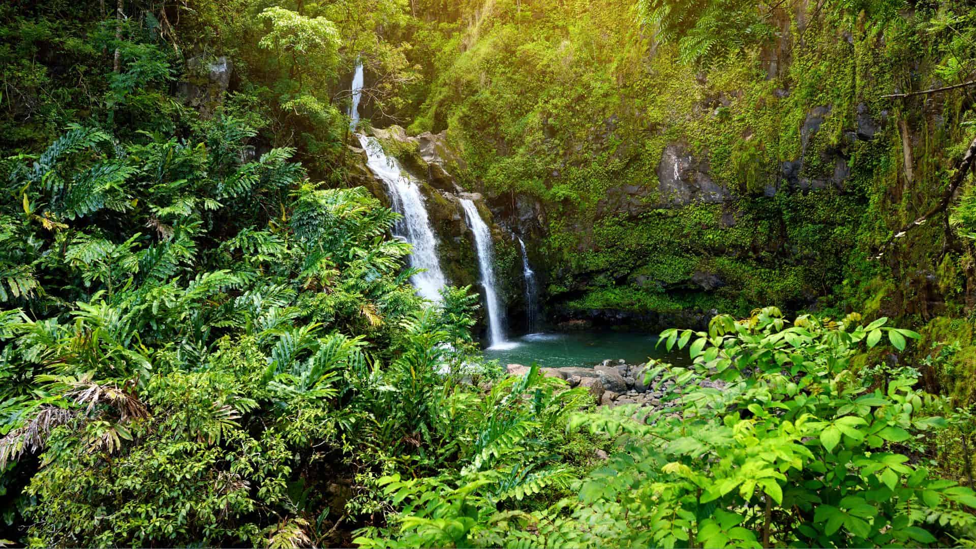 The Road to Hana Waterfalls: The Best on Maui