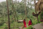 Our Cretya Ubud Review: Is the Luxury Bali Day Club Worth it? - Jared's ...