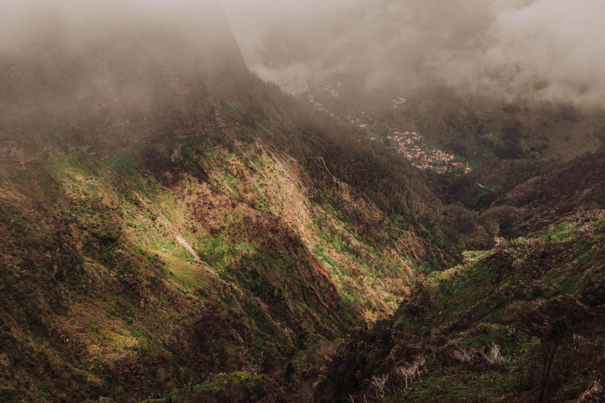 How a Wildfire Changed Portugal's Island of Madeira - Jared's Detours