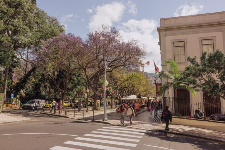 Madeira in the Spring: Planning a Trip for March, April or May - Jared ...