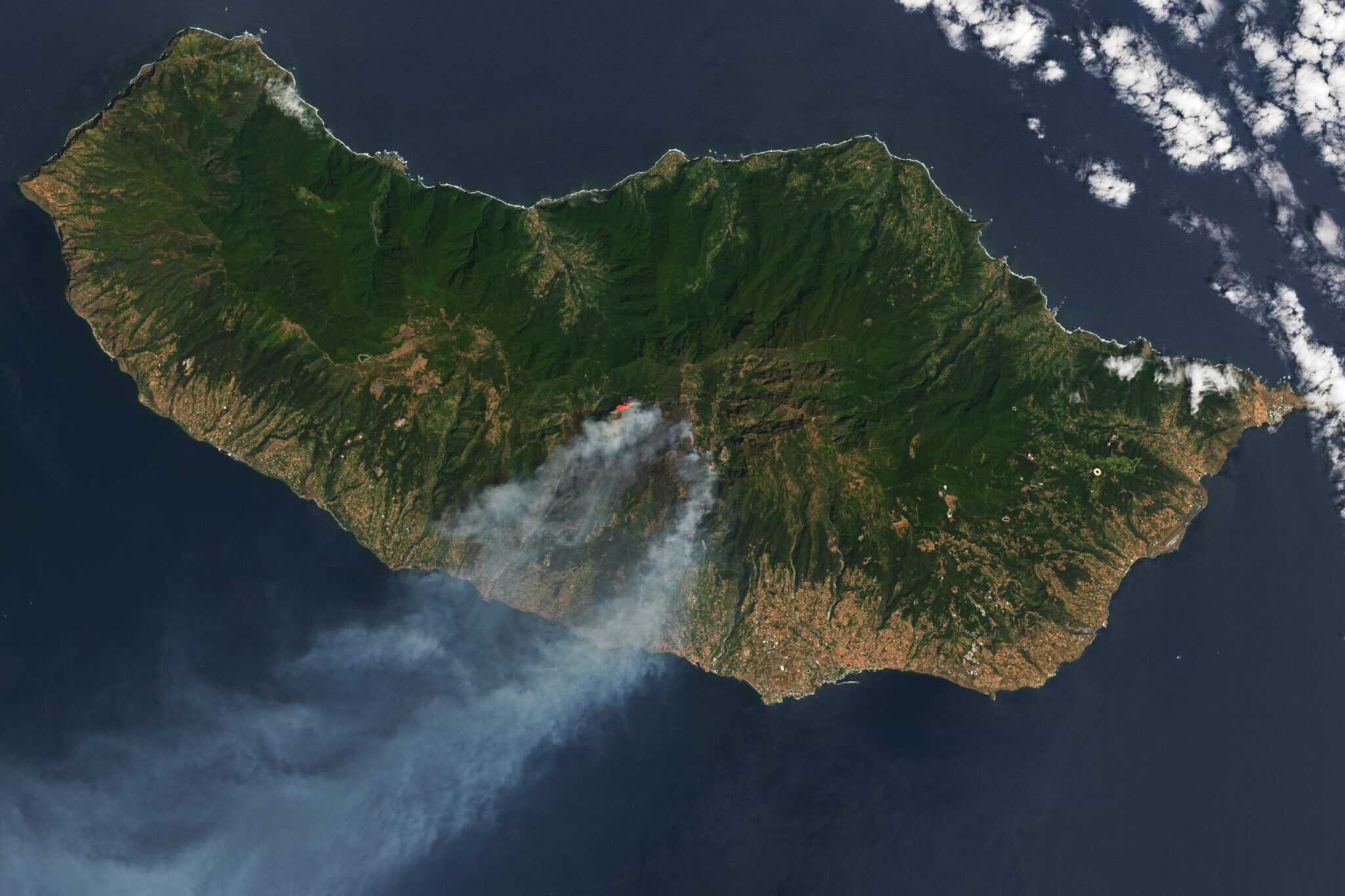 How a Wildfire Changed Portugal's Island of Madeira - Jared's Detours