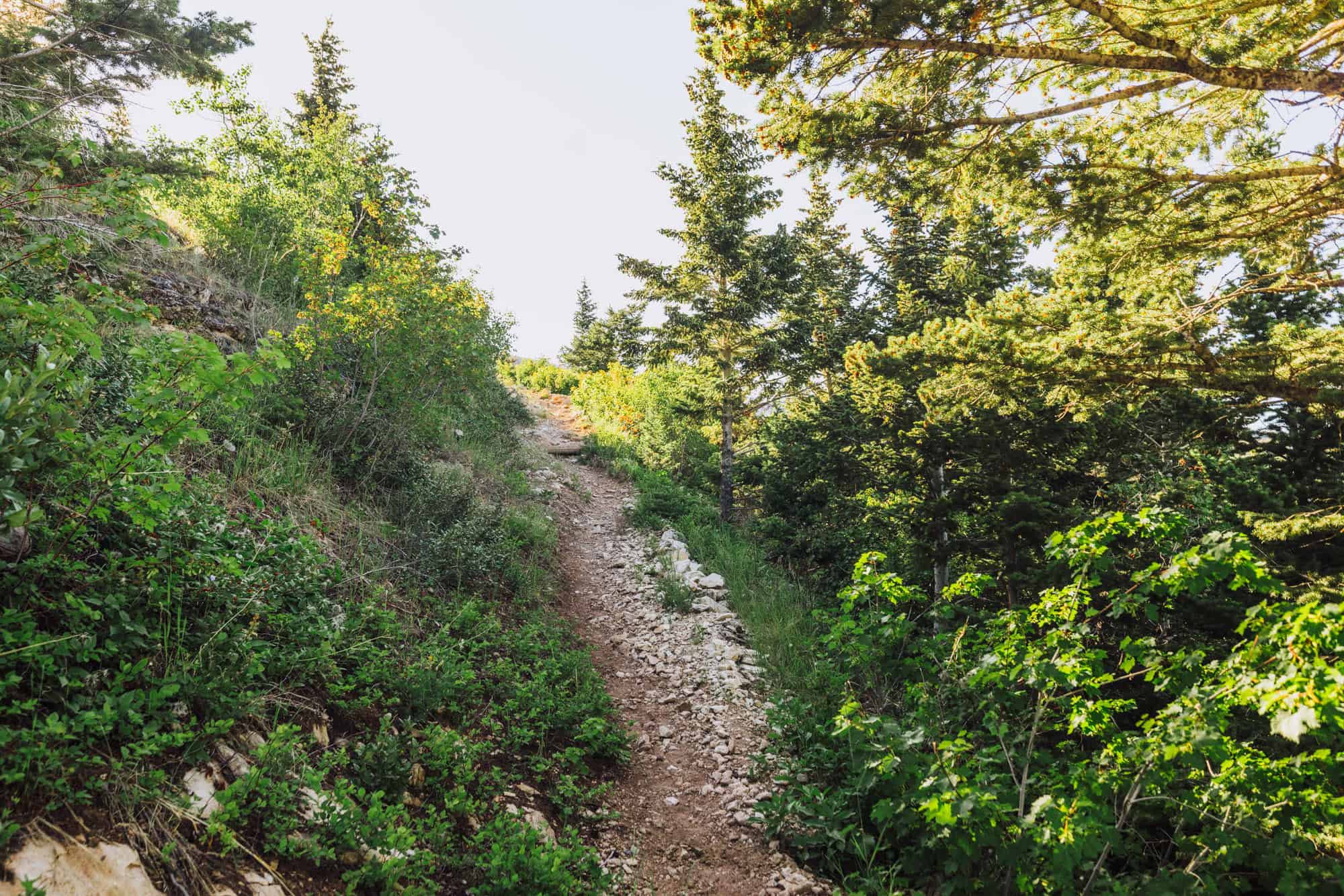Hike Montana's Swift Dam & Reservoir: An Alternative to Glacier - Jared ...