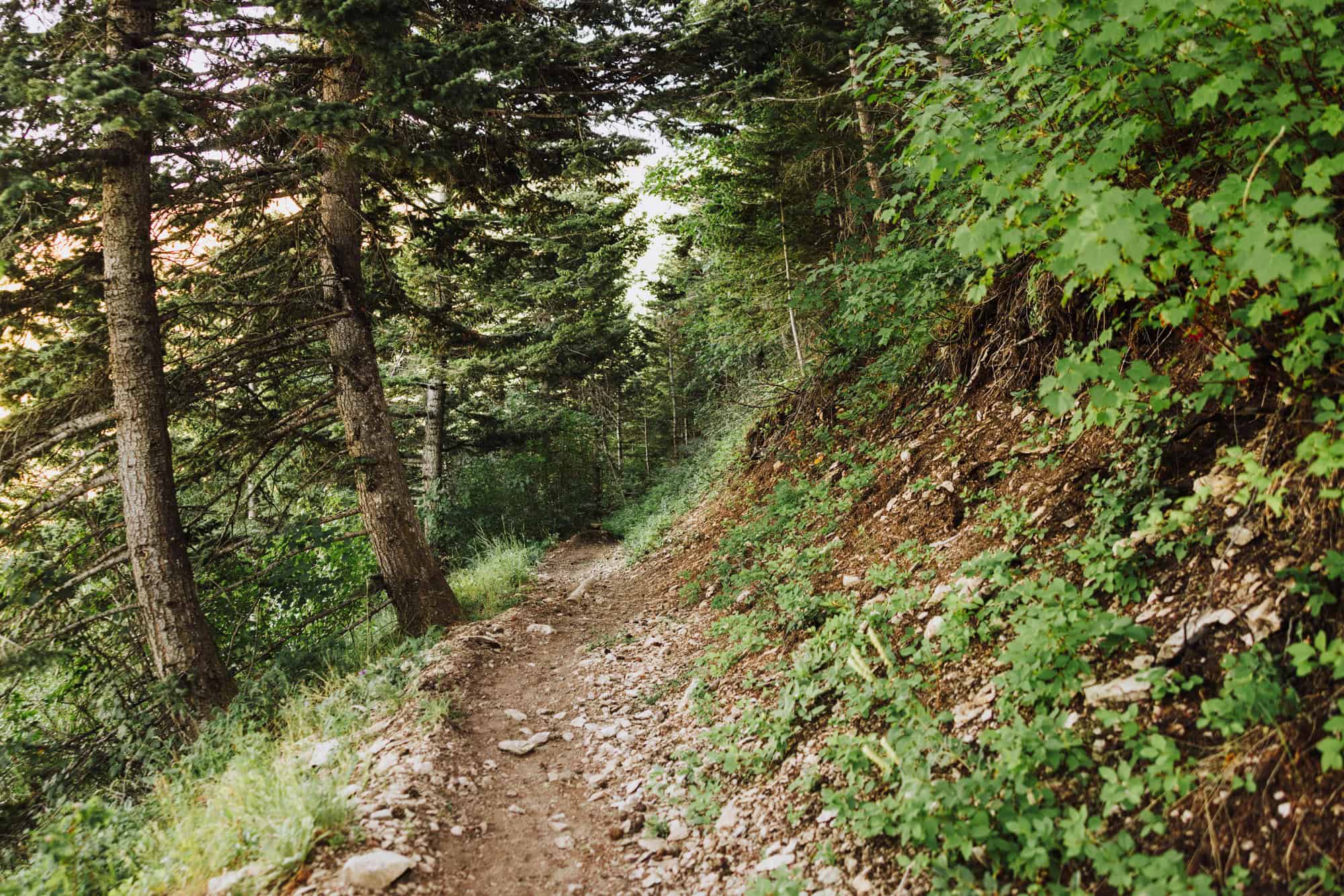 Hike Montana's Swift Dam & Reservoir: An Alternative to Glacier - Jared ...