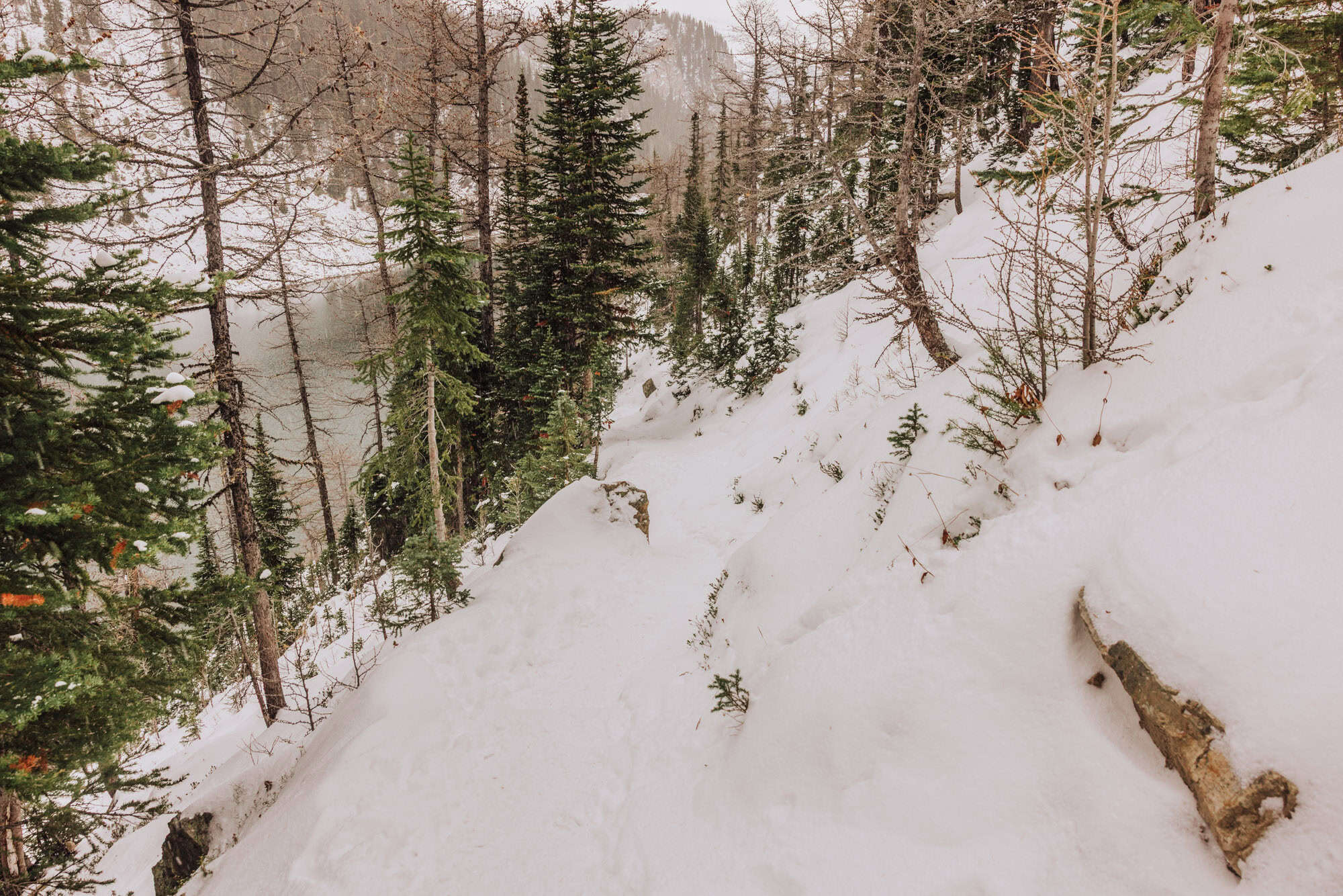 Lake Louise & The Big Beehive Hike: What to Know Before You Go - Jared ...