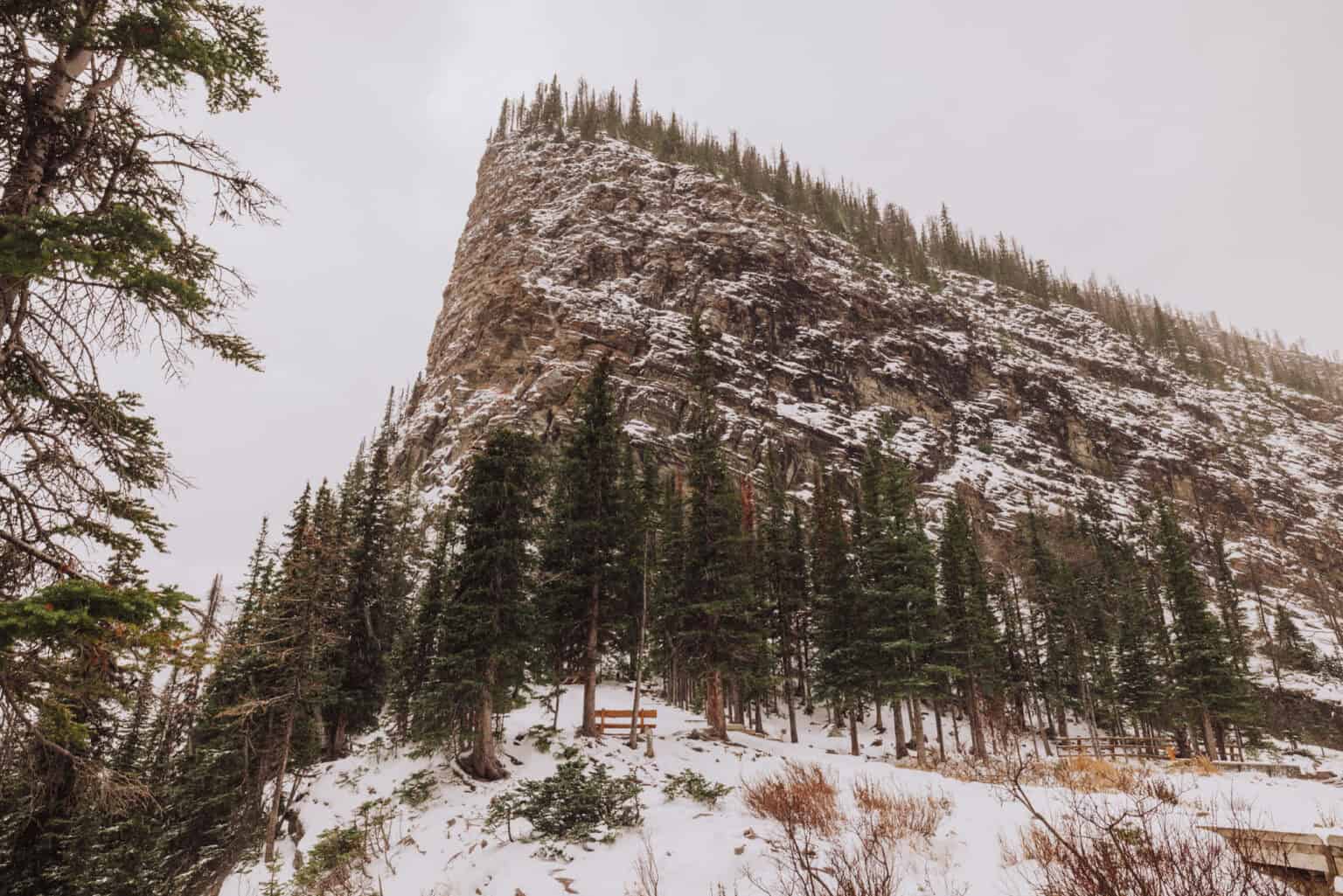 Lake Louise & The Big Beehive Hike: What to Know Before You Go - Jared ...
