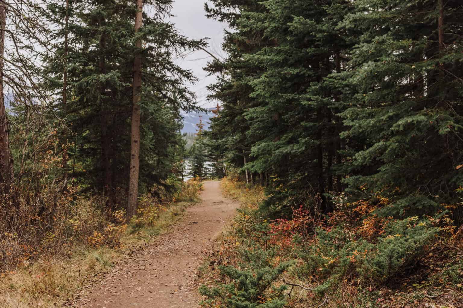 Explore Pyramid Lake's Hikes and Views in Jasper National Park - Jared ...